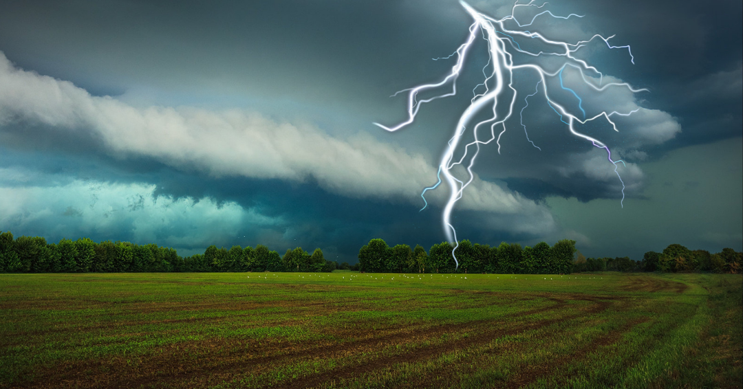 - City Water, Light, and Power